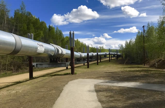 Invaluable Tools: What Pipe Expansion Joints Are Used For
