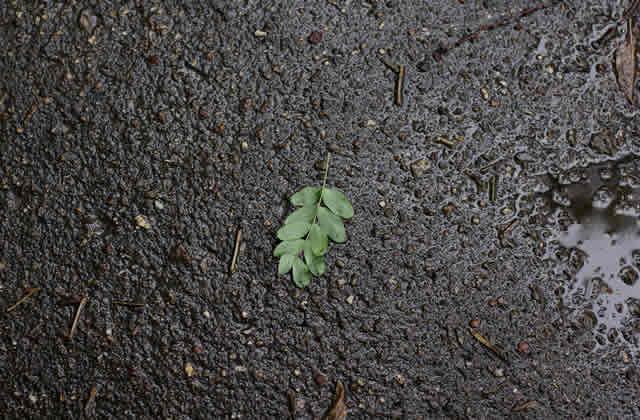 How To Protect Your Asphalt From Water Damage