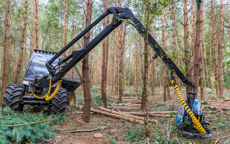 Equipment Making the Forestry Industry More Efficient